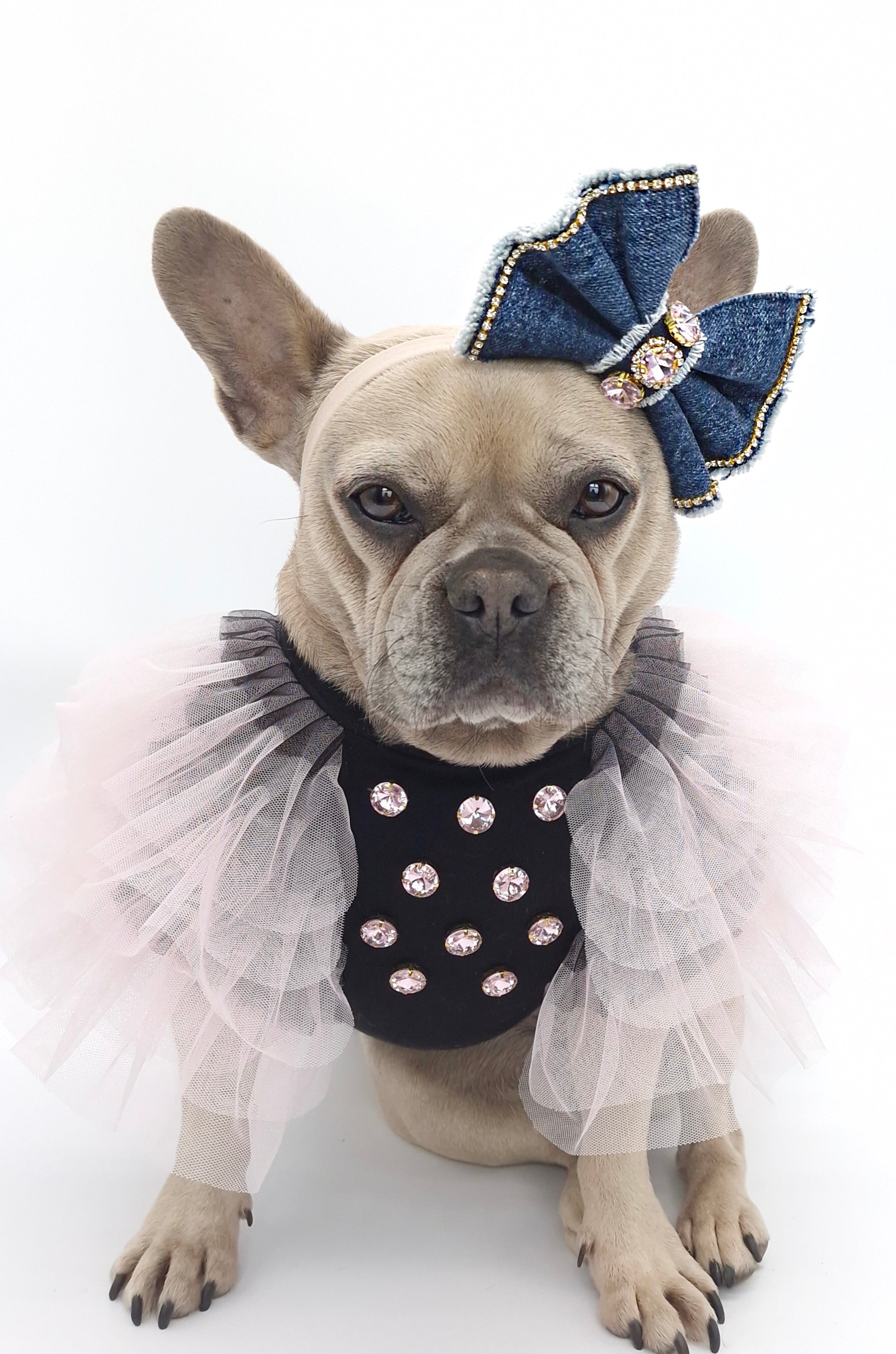 Best sellers – Milly dog fashion